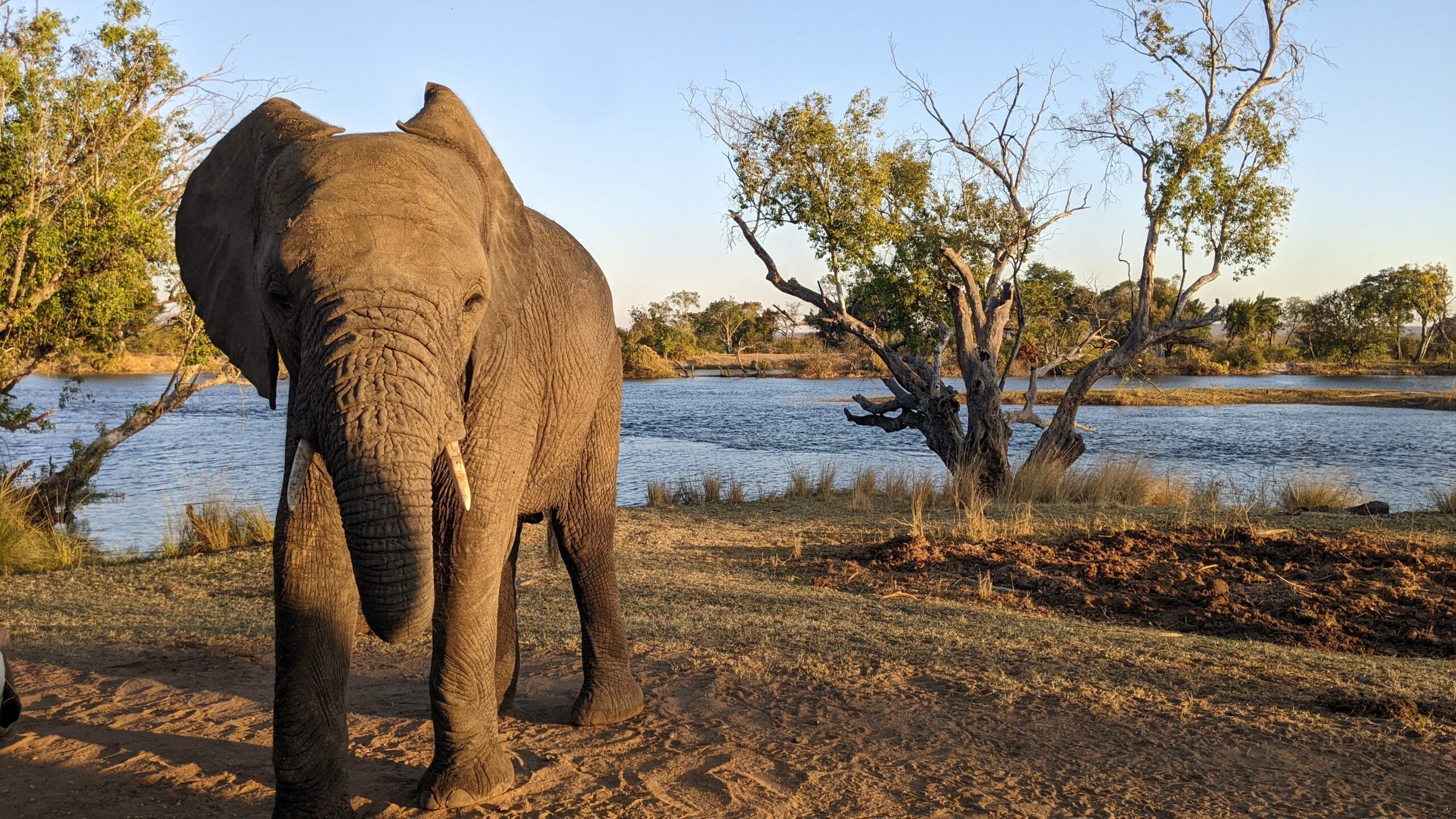 KAZA Conservation Area Guide - Hallpax